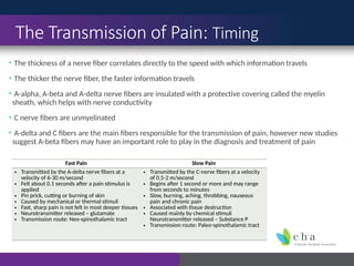 M5_Anatomy-and-Physiology-of-Pain.module5pptx | PPTX
