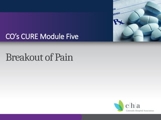 M5_Anatomy-and-Physiology-of-Pain.module5pptx | PPT