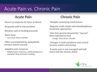 M5_Anatomy-and-Physiology-of-Pain.module5pptx | PPTX