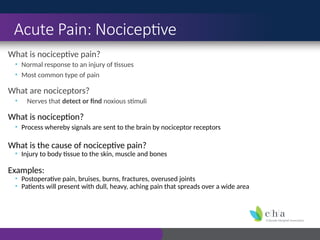 M5_Anatomy-and-Physiology-of-Pain.module5pptx | PPTX
