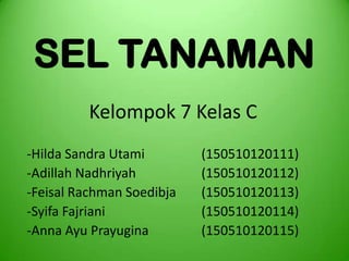 M5 kelompok 7 sel tanaman | PPTX