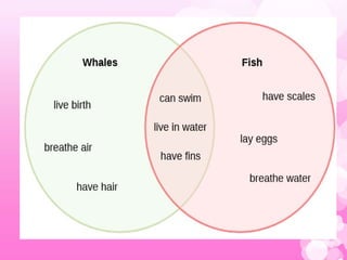 M6-Transcoding-Linear-to-Non-linear-Text.pptx