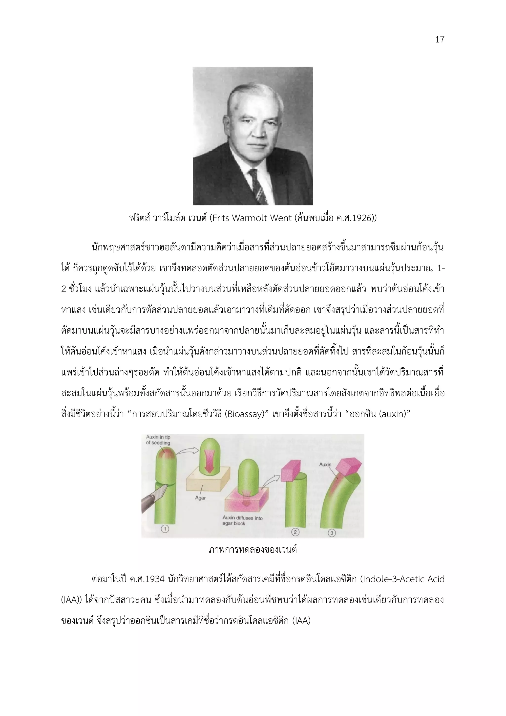 M6 125 60_10 | PDF