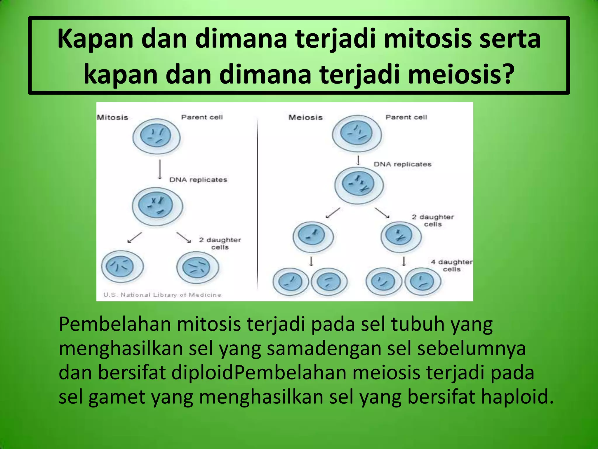 M6 kelompok 7 pembelahan sel | PPTX