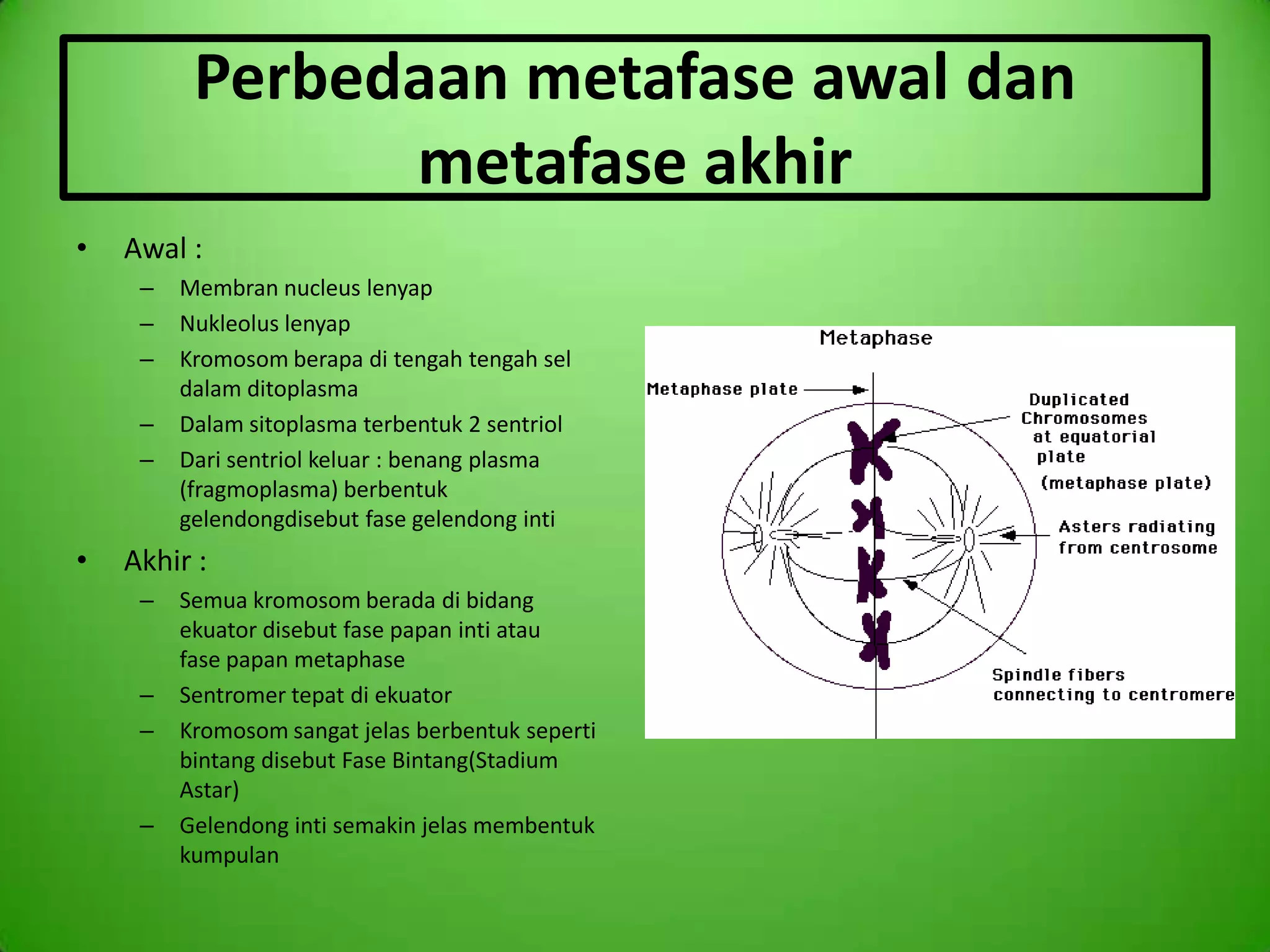 M6 kelompok 7 pembelahan sel | PPTX