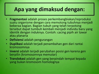 M6 kelompok 7 pembelahan sel | PPTX