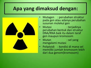 M6 kelompok 7 pembelahan sel | PPTX