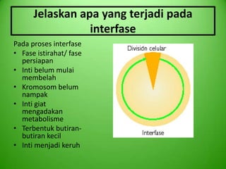 M6 kelompok 7 pembelahan sel | PPTX