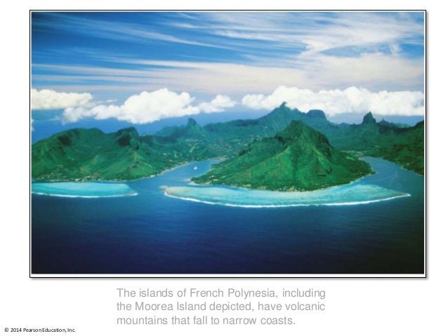 Exploring the Vast Pacific Realm Exploring the Vast Pacific Realm