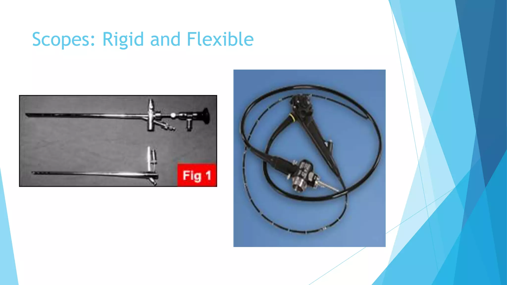 ANES 1502 - M6 PPT: Anatomy of the Upper Aerodigestive Tract | PPTX