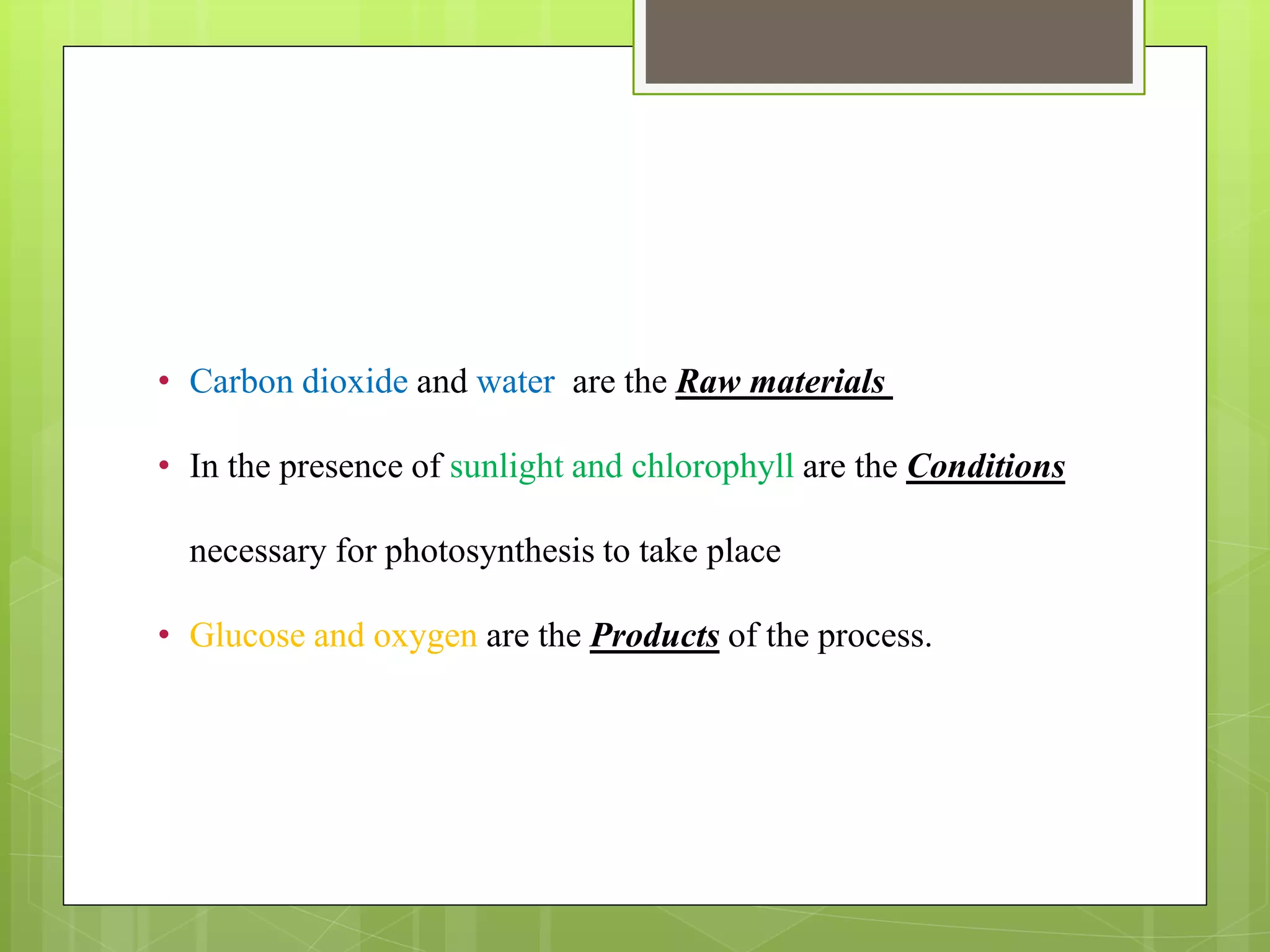 Photosynthesis and the leaf - starch test | PPTX