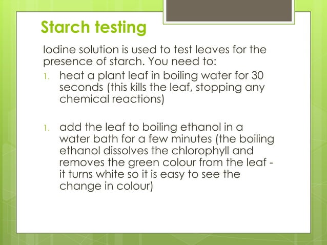 Photosynthesis and the leaf - starch test | PPTX | Chemistry | Science