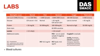 Diagnosing Meningitis: CSF Lactate, procalcitonin & Fungiell | PDF