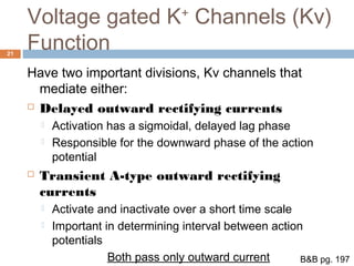 Ionic Equilibria and Membrane Potential | PPT