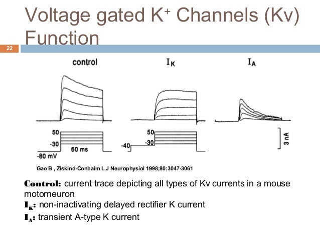 Ionic Equilibria and Membrane Potential