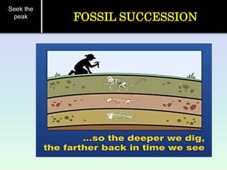 Fossil Succession