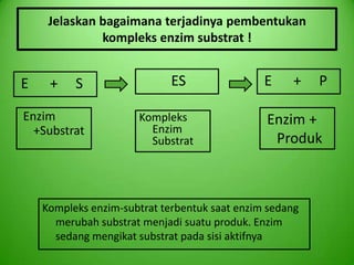 M8 kelompok 7 enzim | PPTX