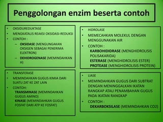 M8 kelompok 7 enzim | PPTX