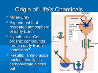 Ma originsof life | PPT | Geology | Science