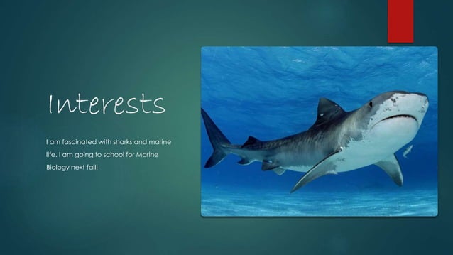 Dayna barnes slide 1 | PPTX | Fishing Sports | Sports