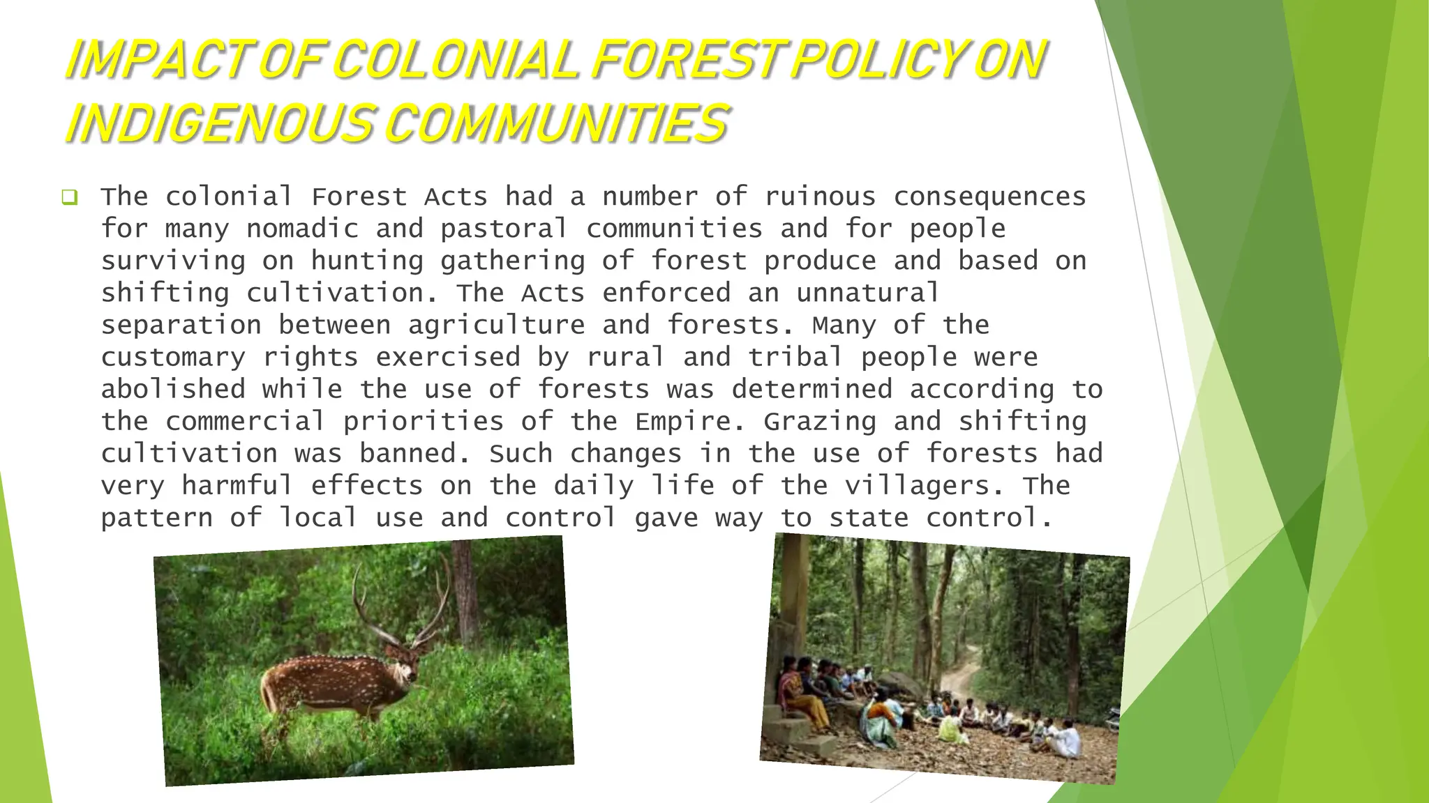 impact of colonial forest policy . | PPTX