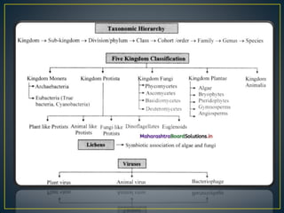 Chapter_2_Systematics.pptx