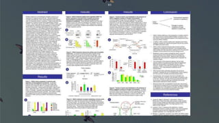 Maak een poster tips and tricks | PPTX