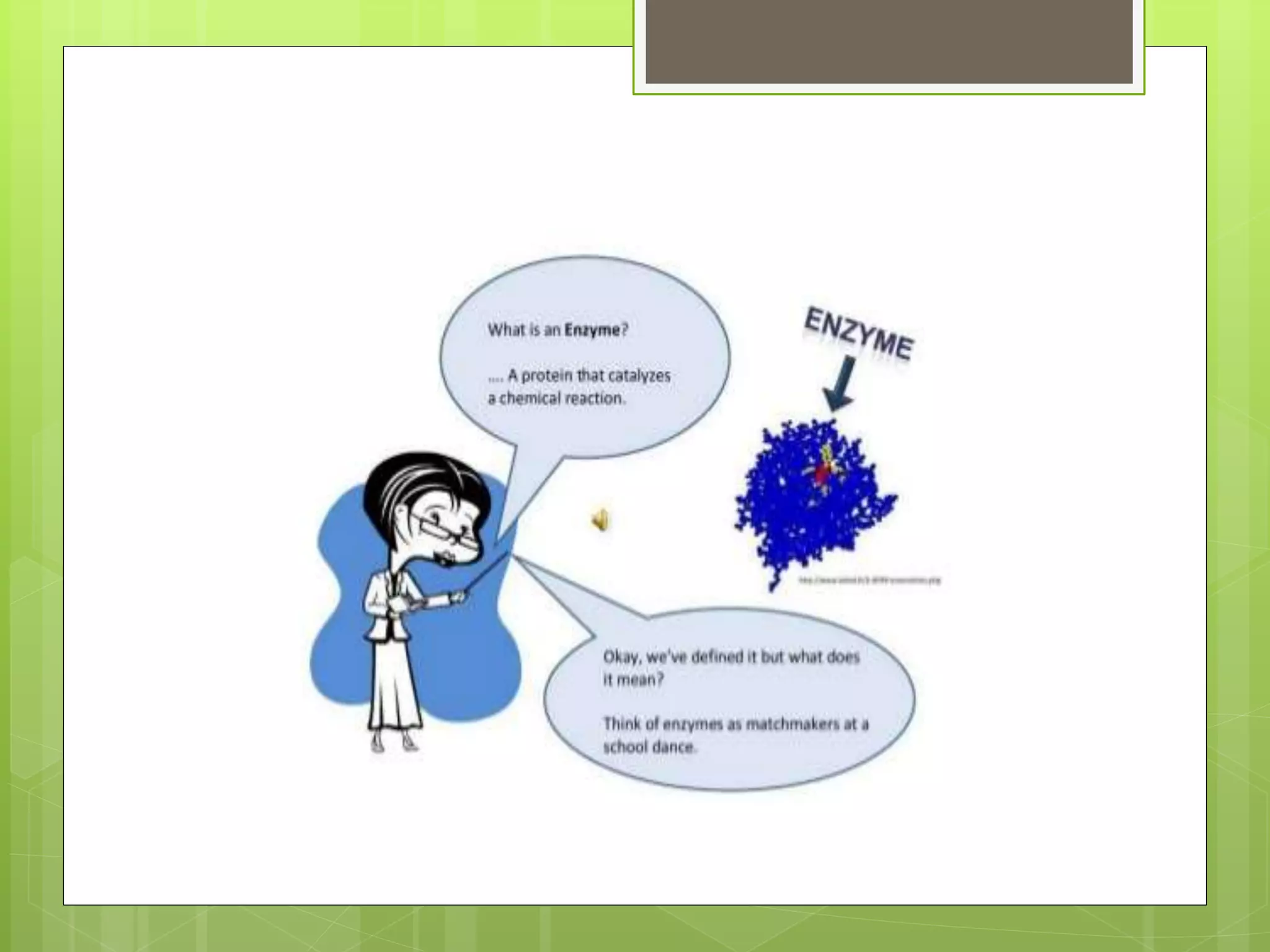 classification of enzymes | PPT