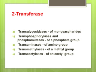 classification of enzymes | PPT
