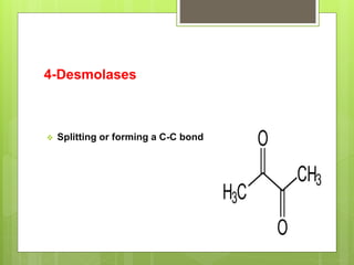 classification of enzymes | PPT