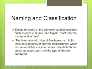 classification of enzymes | PPT