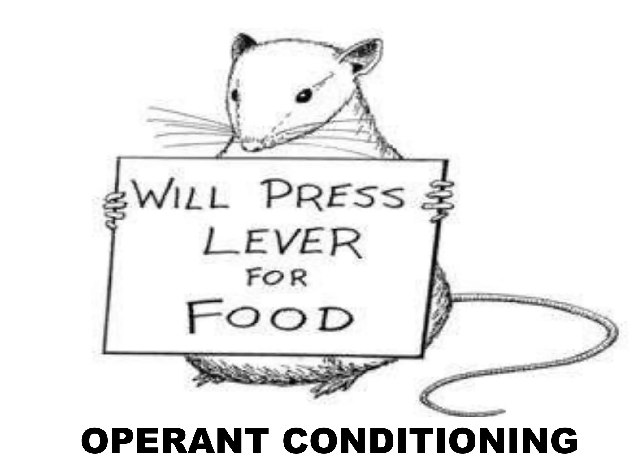 Classical conditioning by Ivan Pablov and Operant Conditioning by B.F ...