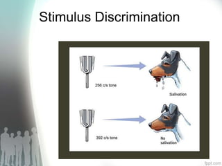 Classical conditioning by Ivan Pablov and Operant Conditioning by B.F ...