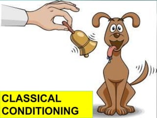 Classical conditioning by Ivan Pablov and Operant Conditioning by B.F ...