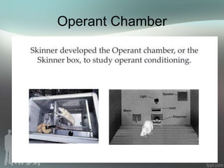 Classical conditioning by Ivan Pablov and Operant Conditioning by B.F ...