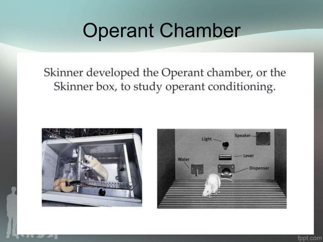 Classical conditioning by Ivan Pablov and Operant Conditioning by B.F ...