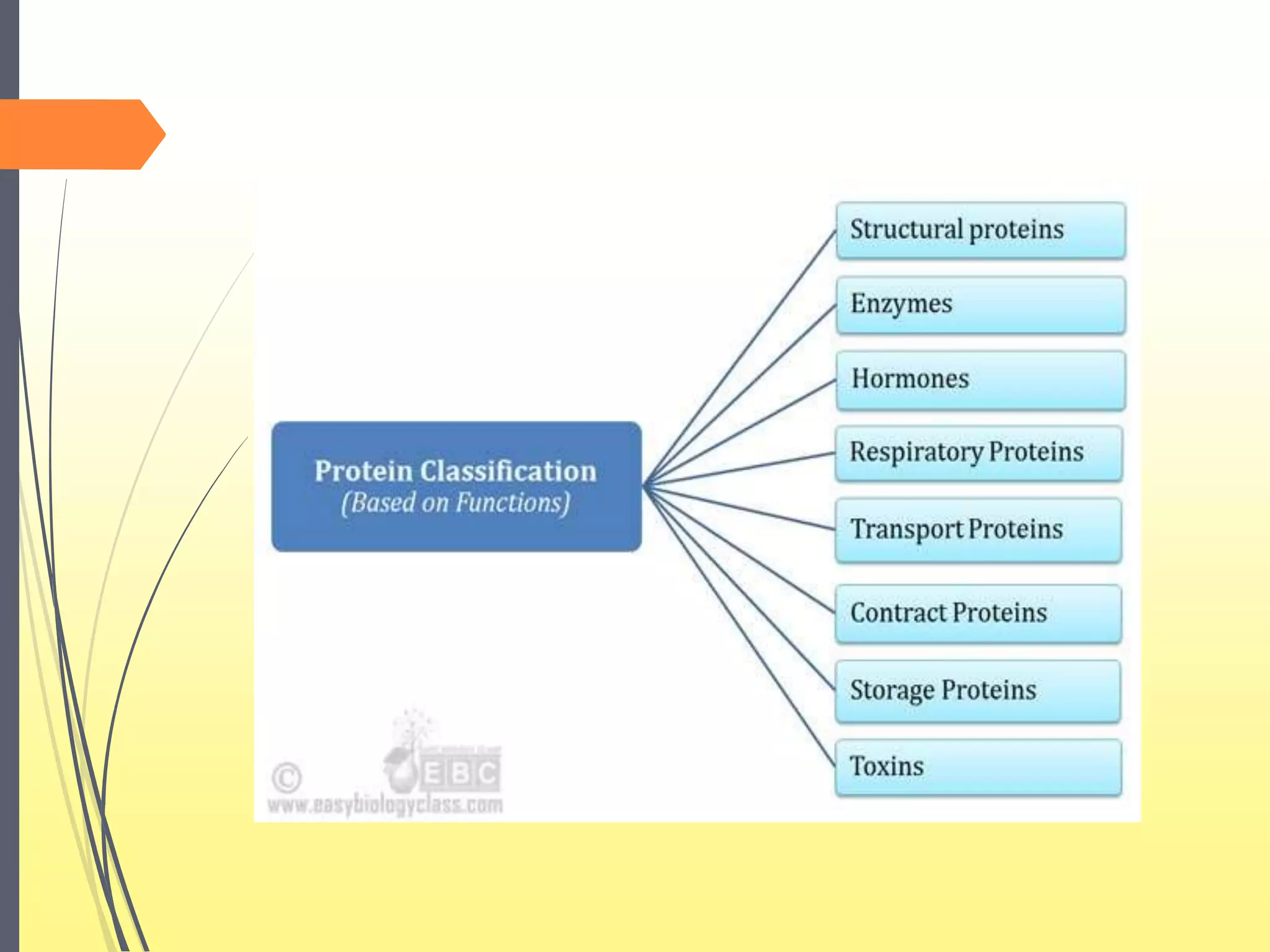 NUTRIENTS AND THEIR ROLE IN OUR BODY | PPTX