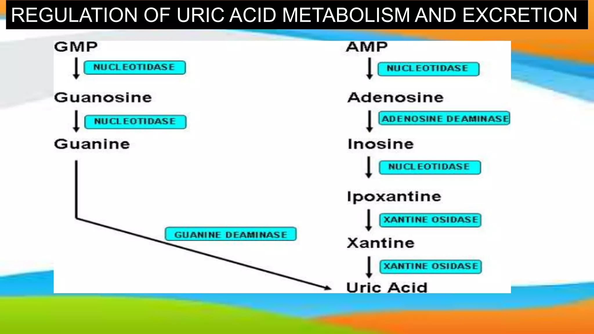 Uric acid and related Disorders | PPTX