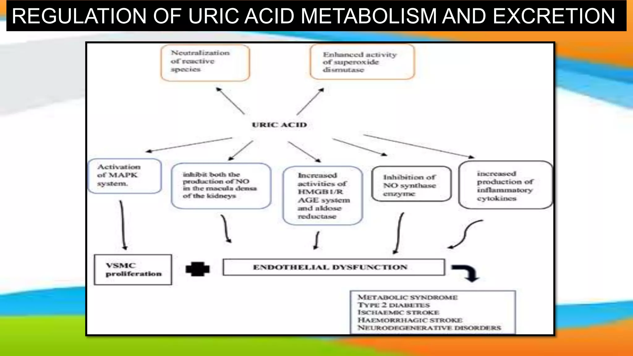 Uric acid and related Disorders | PPTX