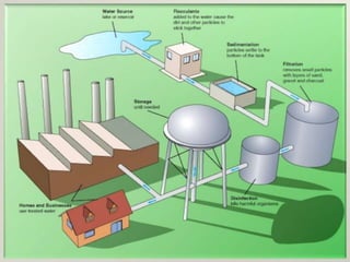 Water:A precious resource | PPTX
