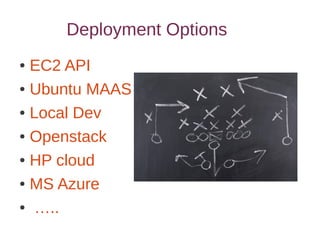 Maas Juju Introduction | PDF