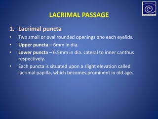 lacrimal system ppt | PPTX