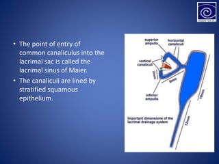 lacrimal system ppt | PPTX