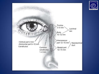 lacrimal system ppt | PPTX