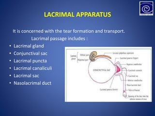 lacrimal system ppt | PPTX