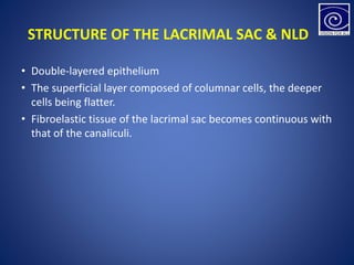 lacrimal system ppt | PPTX