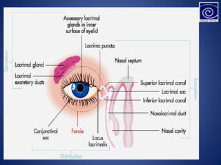lacrimal system ppt | PPTX