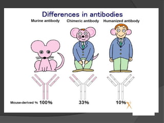 Monoclonal Antibody Cartoon