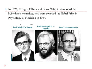 MONOCLONAL ANTIBODIES-HYBRIDOMA TECHNOLOGY-APPLICATIONS | PPTX | Cancer ...