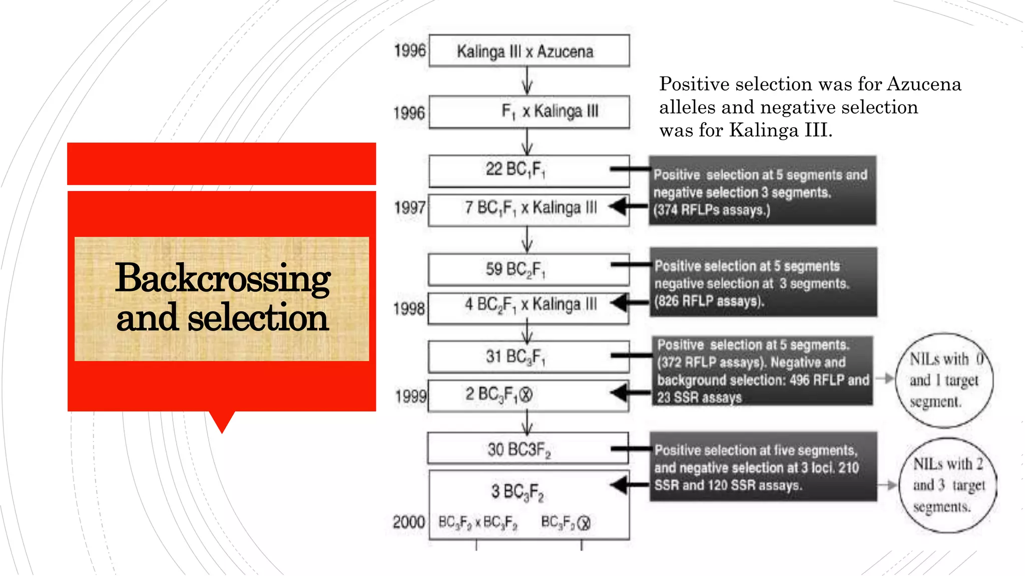 MARKER ASSISTED BACKCROSS BREEDING | PPTX